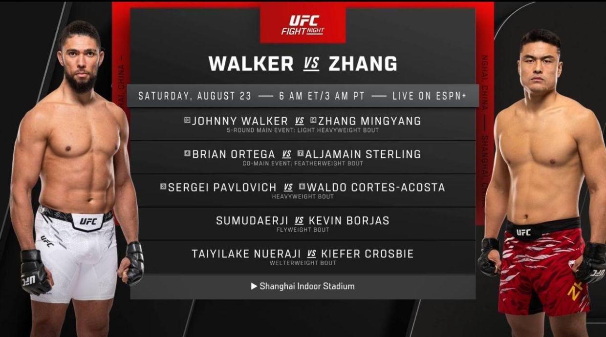 Бой Дрикус дю Плесси — Хамзат Чимаев, UFC 319, кто победил, результат ...