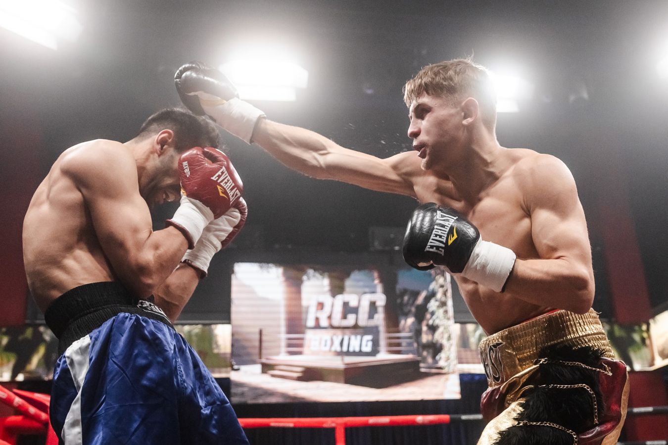 Гран-при RCC Boxing: правила, участники, весовые категории; Всемирная ...