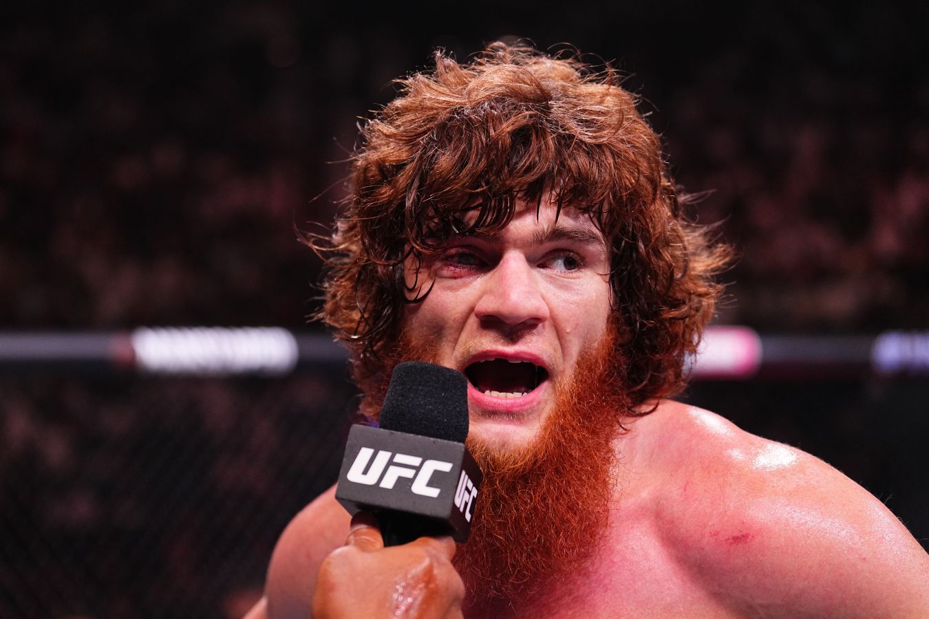 Шара Буллет — Майкл Пейдж: во сколько начало боя, где смотреть прямую ...